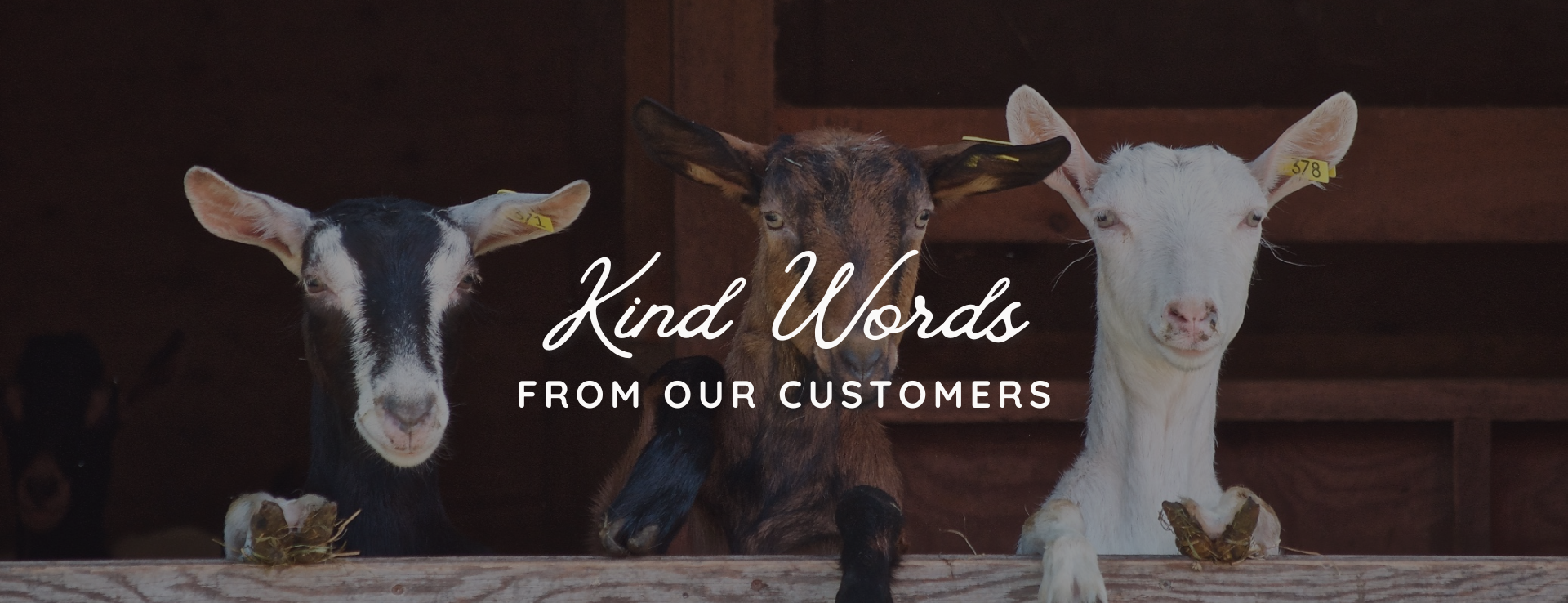 Fairchild Farm and Mercantile | Handmade Skincare and Home Products